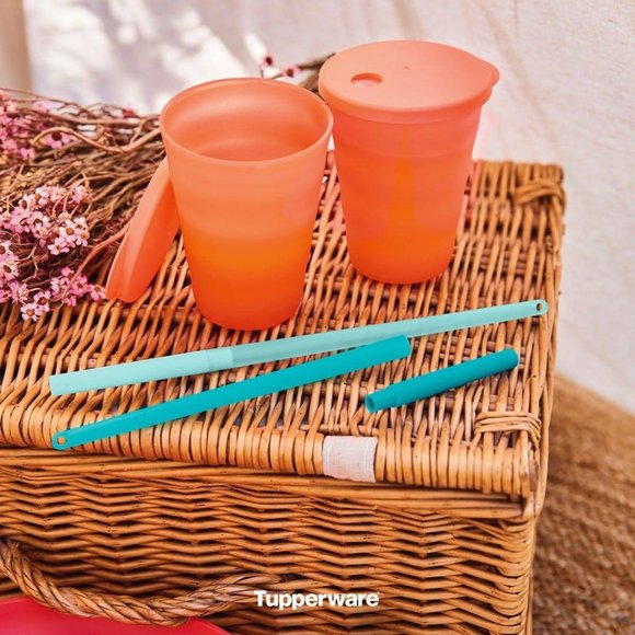 Tupperware | Kitchen | Tupperware Eco Straw Set | Poshmark